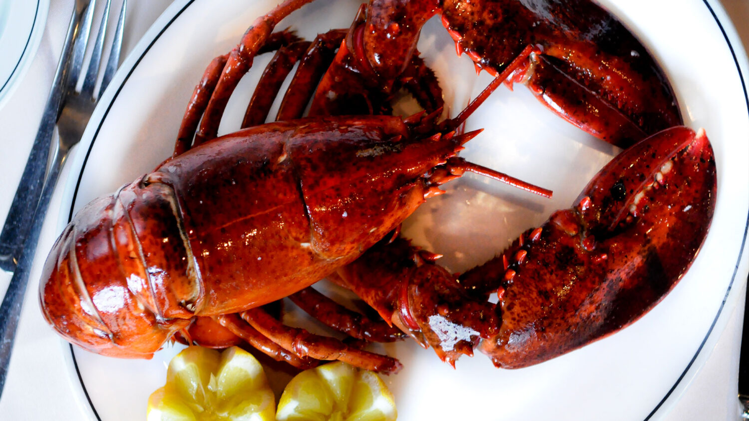 Gibbys | Experience the Steaks & Seafood